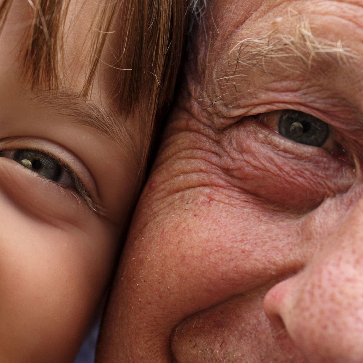 Opty | Rede Integrada